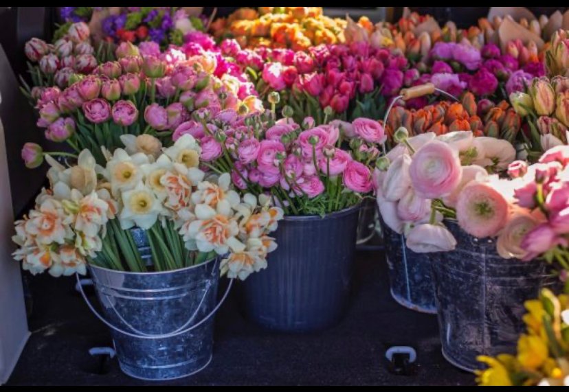 The Spiritual Meaning of May - Balance for Life